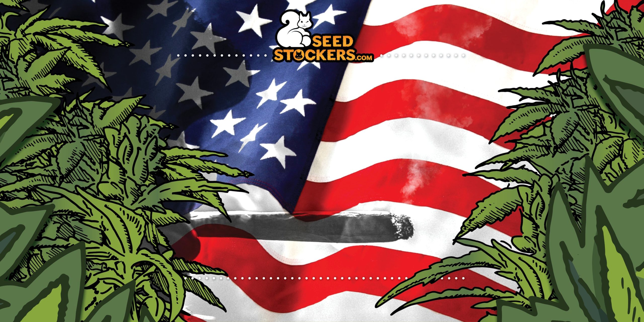US House of Representatives votes to end federal marijuana ban ...