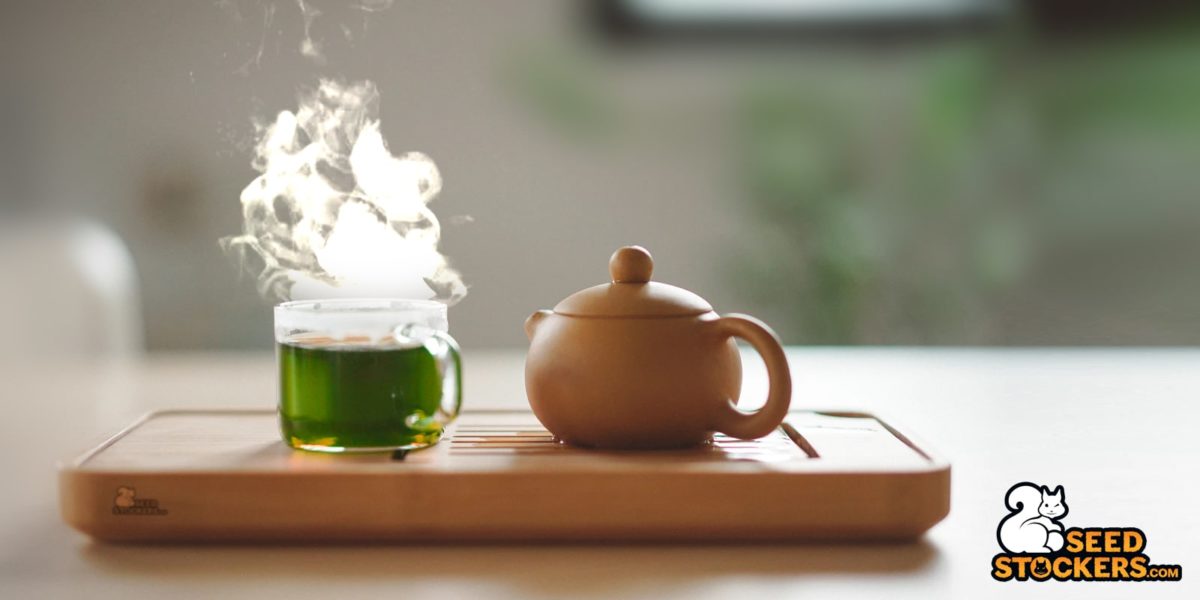 How to consume weed without smoking - Weedstockers