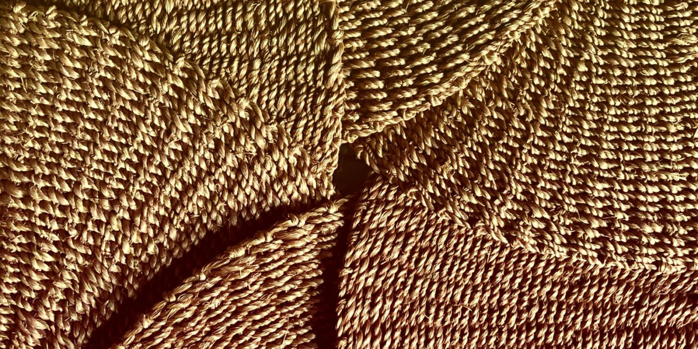 Cannabis was domesticated in China 12,000 years ago - Weedstockers