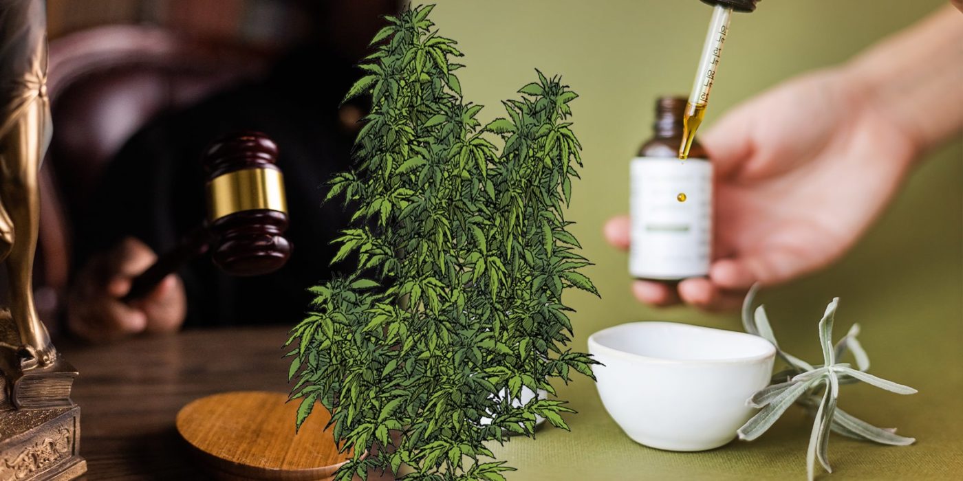 Israel's parliament approves a bill on medical cannabis - Weedstockers