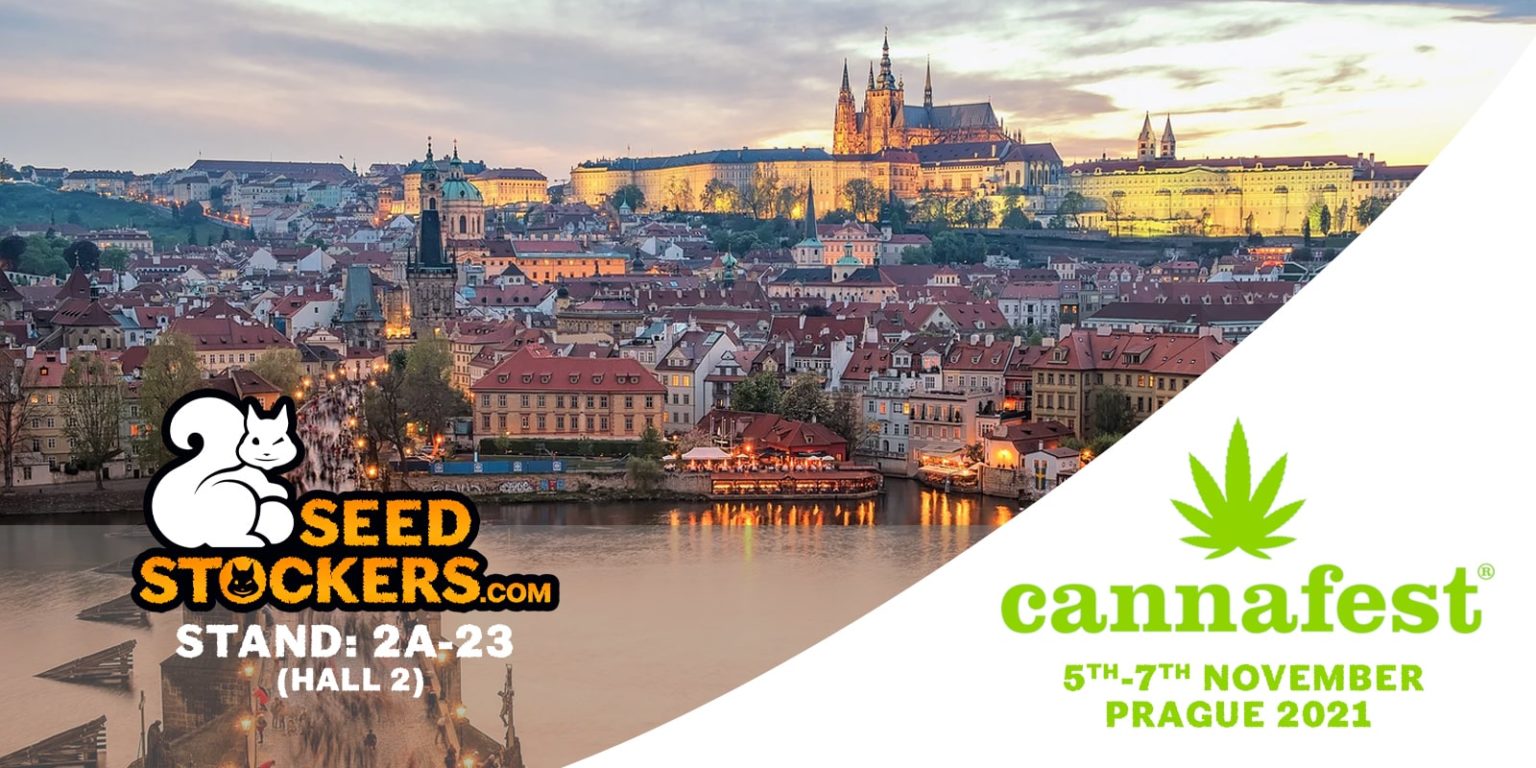 Seedstockers at Cannafest 2021 - Weedstockers