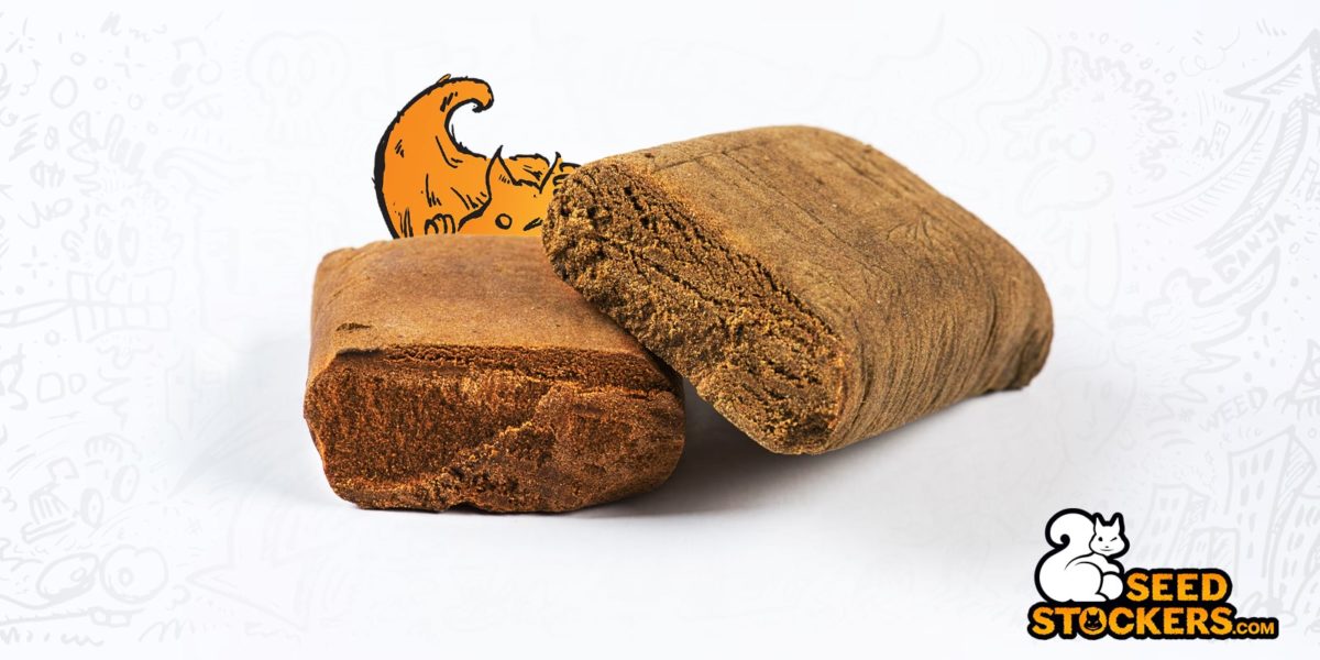 Everything you need to know about hashish - Weedstockers