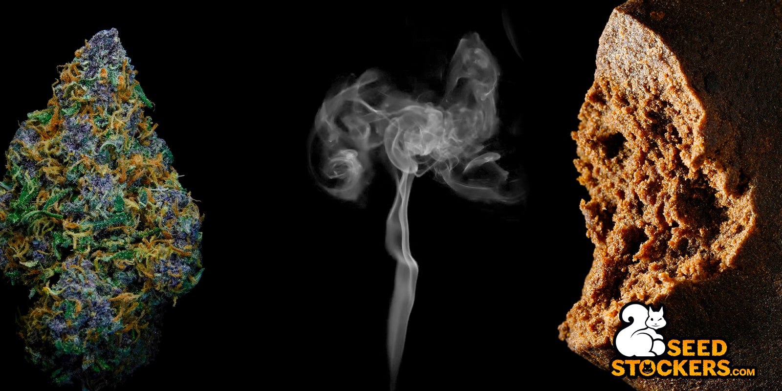 Everything you need to know about hashish - Weedstockers